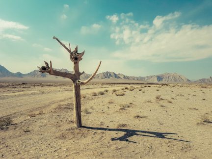 I Will Burn Your Country to The Ground - Iran Tour Report